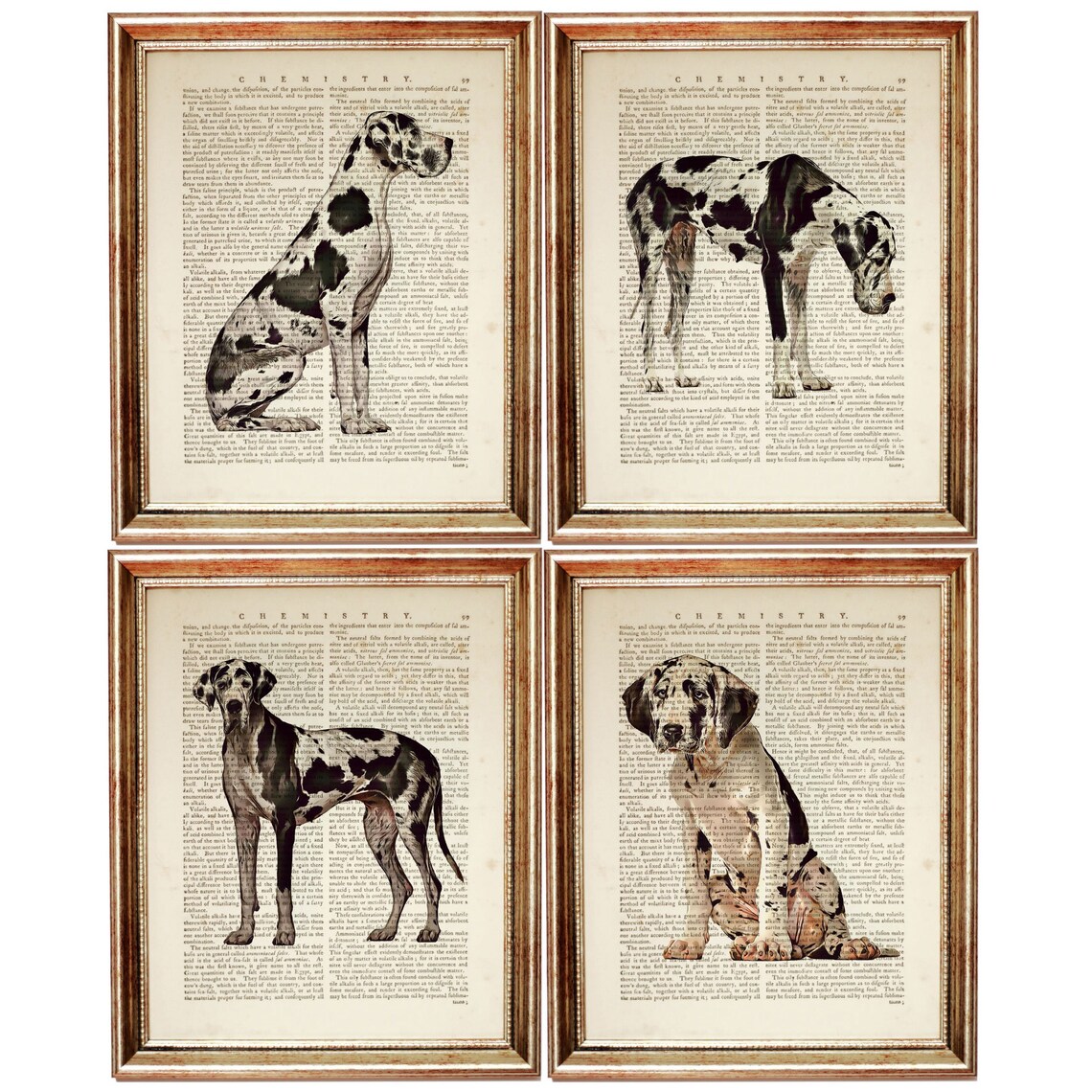 Set of 4 Prints Great Dane Dog Dictionary Art Print Set Dog - Etsy UK