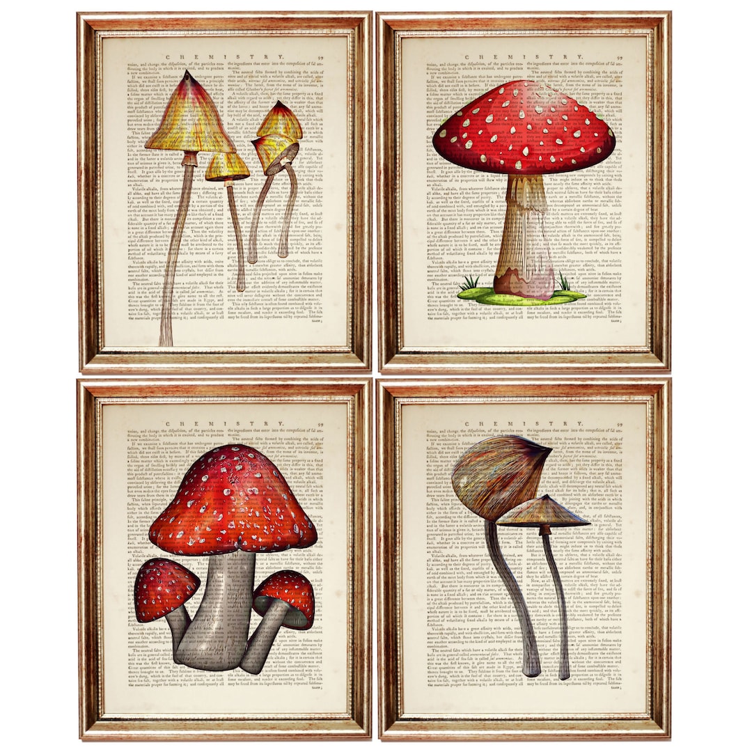 Set of 4 Mushroom Prints Vintage Fungi Wall Art on Dictionary Pages ...