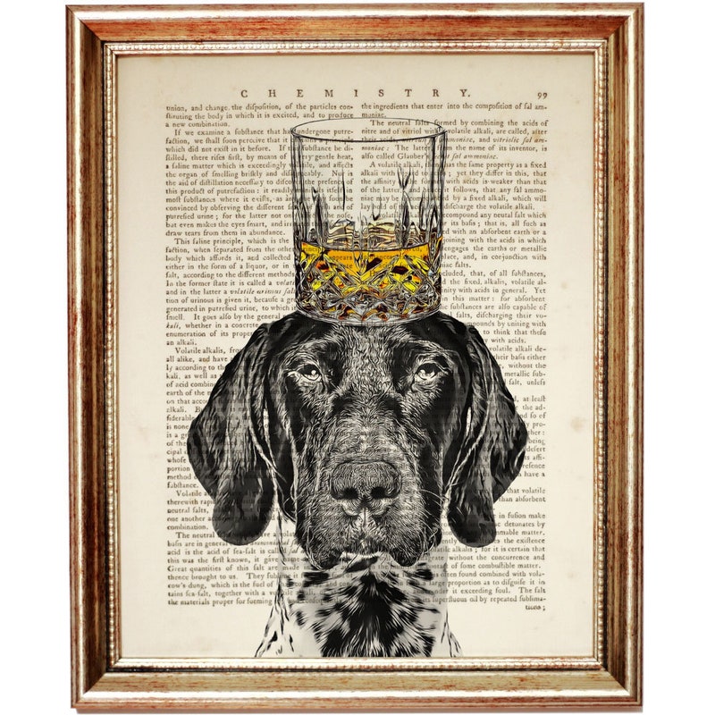Gsp Art Funny - Etsy