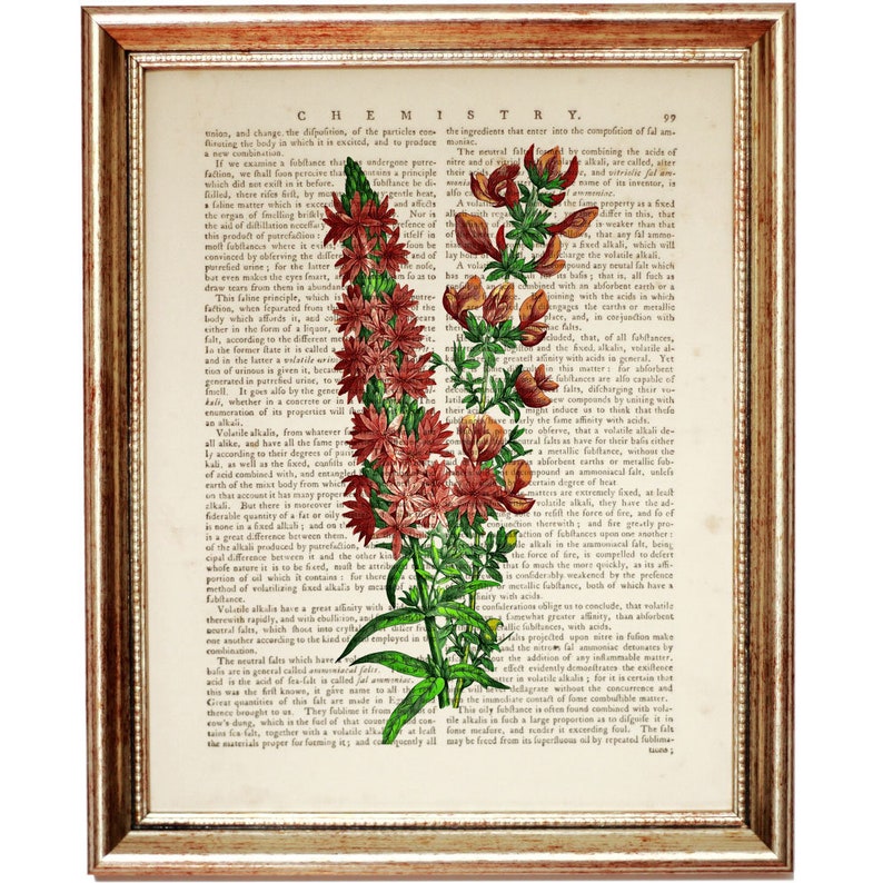 Set of 6 Prints, Botanical Poster, Flower Art Print, Flower Vintage ...