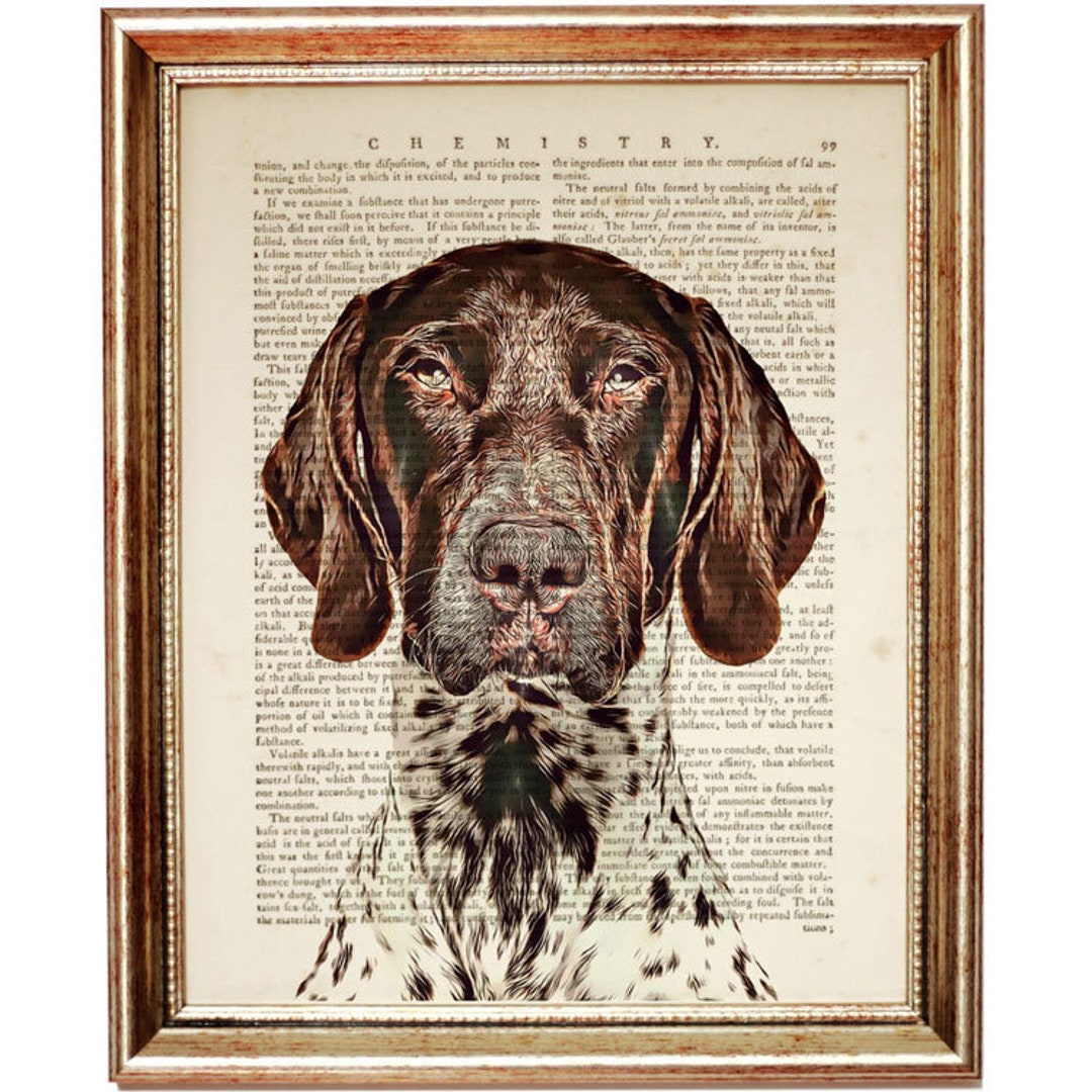 German Shorthaired Pointer Dog Art, Dictionary Art Print, GSP Gifts ...