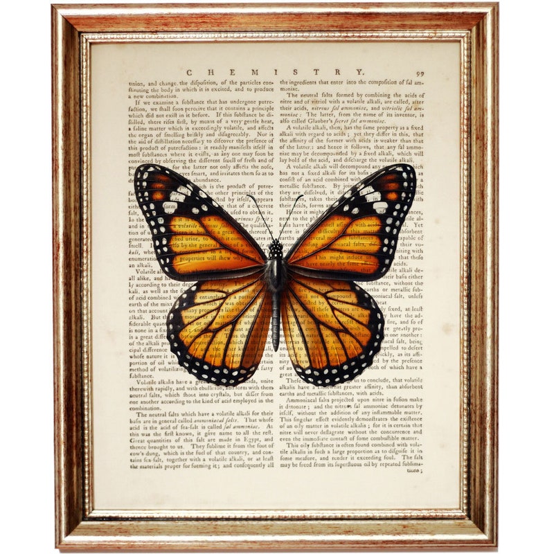 Orange Butterfly - Etsy