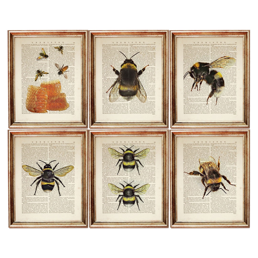 Set of 6 Prints, Bumble Bee Dictionary Art Print, Honey Bee Wall Decor ...