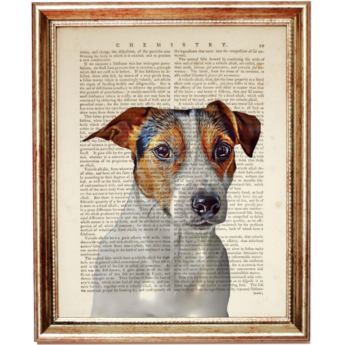Jack Russell Terrier Dictionary Art Print, Dog Portrait Wall Decor - Etsy