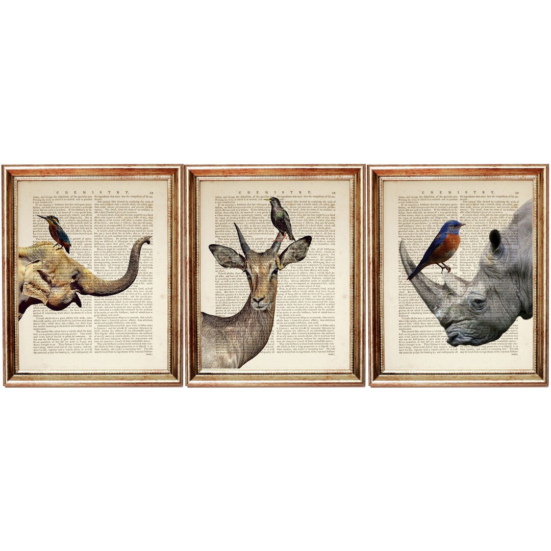Safari Animal Dictionary Art Print, Vintage Book Page Poster - Etsy