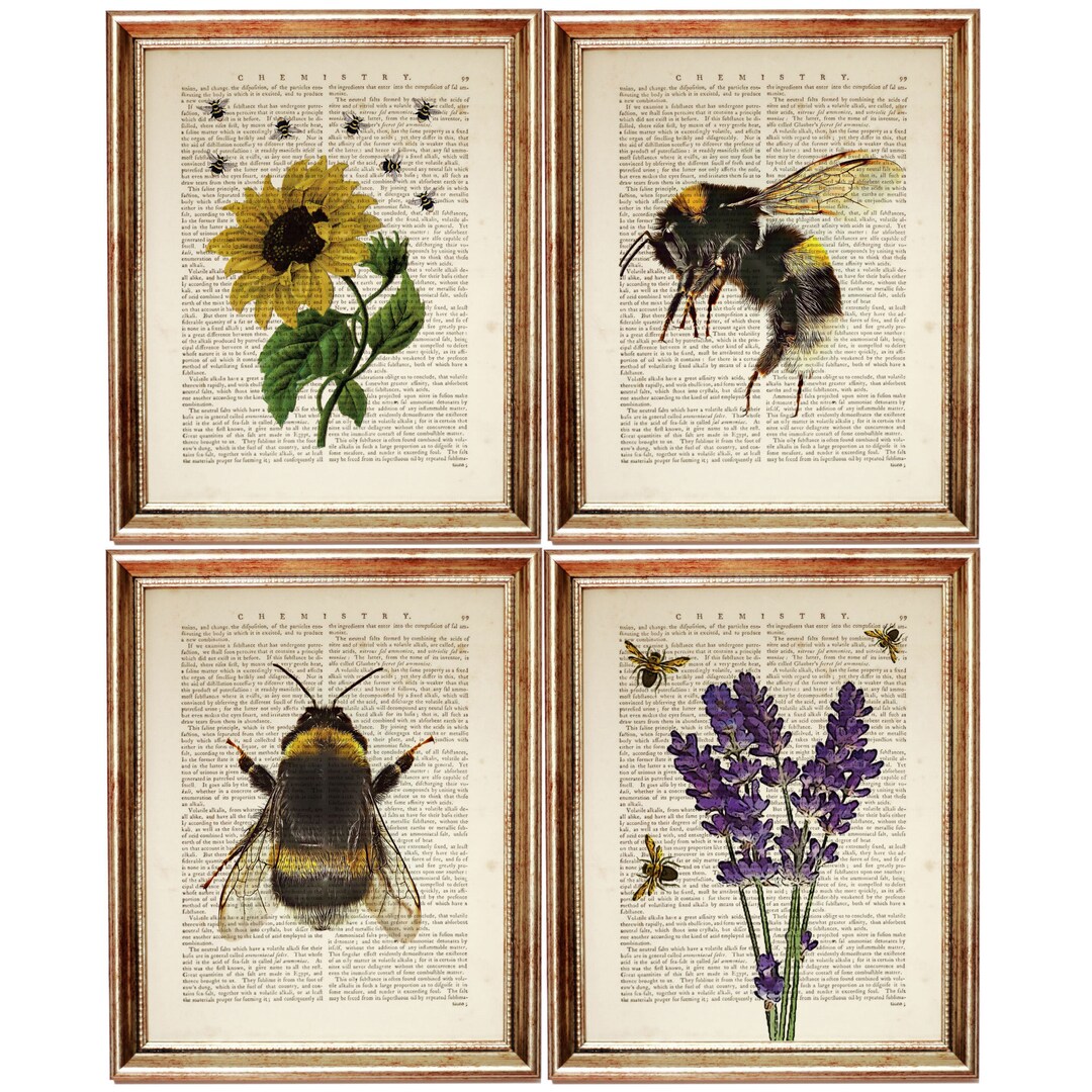 Set of 4 Prints, Botanical Wall Art, Bumble Bee and Flower Dictionary ...