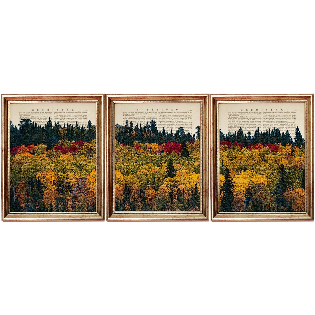 Set of 3 Autumn Forest Dictionary Art Prints, Rustic Fall Wall Decor ...
