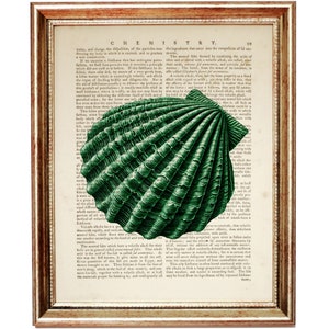 Set of 4 Seashell Dictionary Art Prints, Nautical Wall Decor, Coastal ...