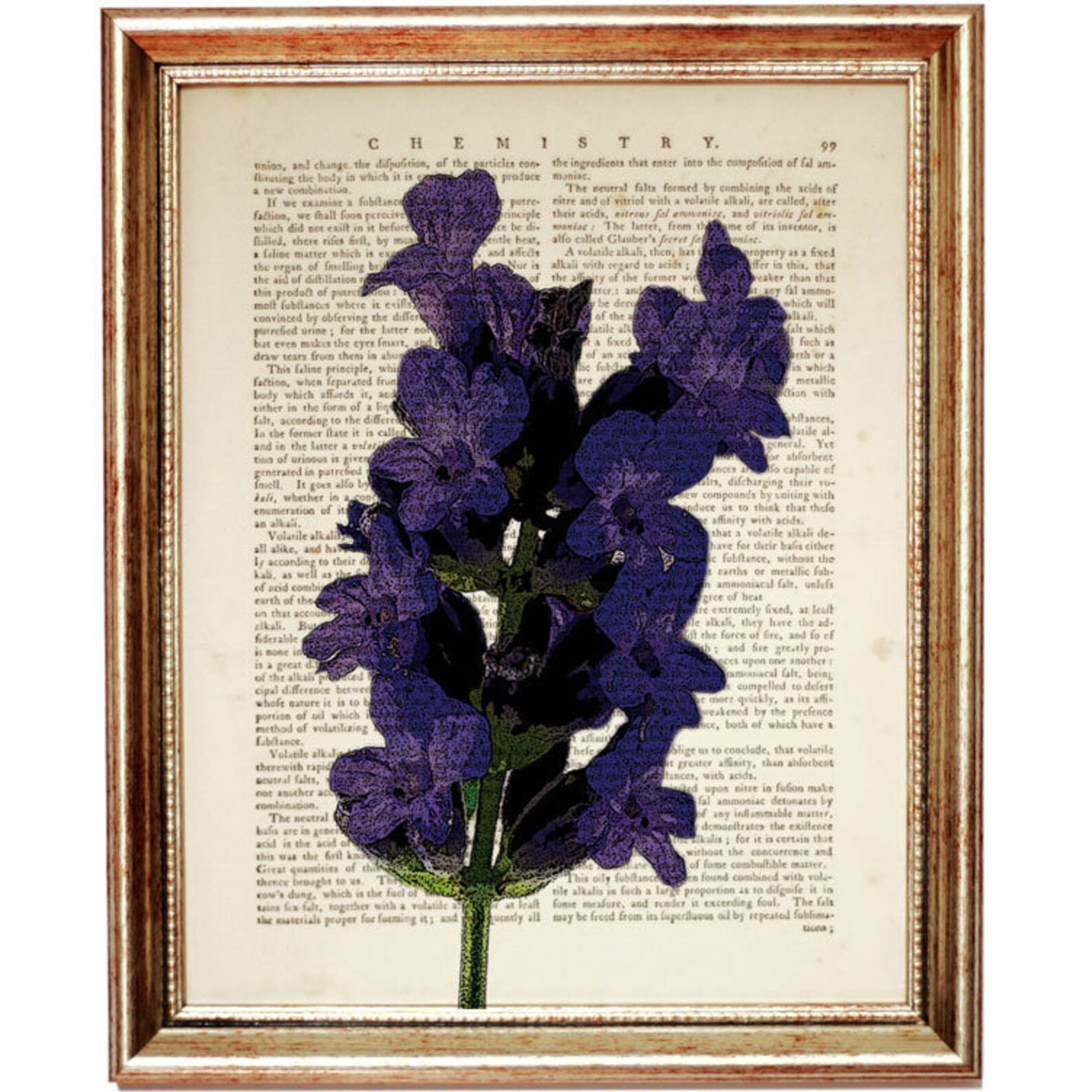 Set of 4 Lavender Botanical Dictionary Art Prints, Vintage Floral Wall ...