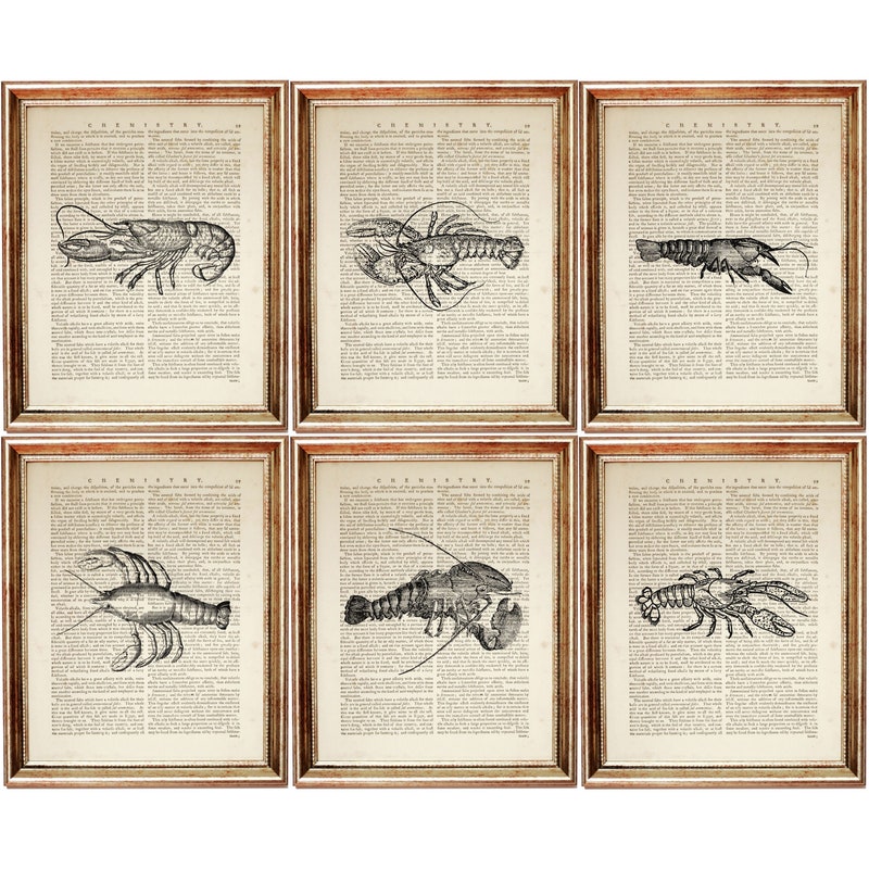 Lobster Wall Art - Etsy