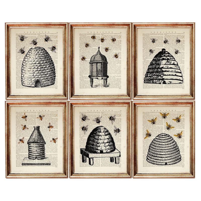 Beehive Decor - Etsy