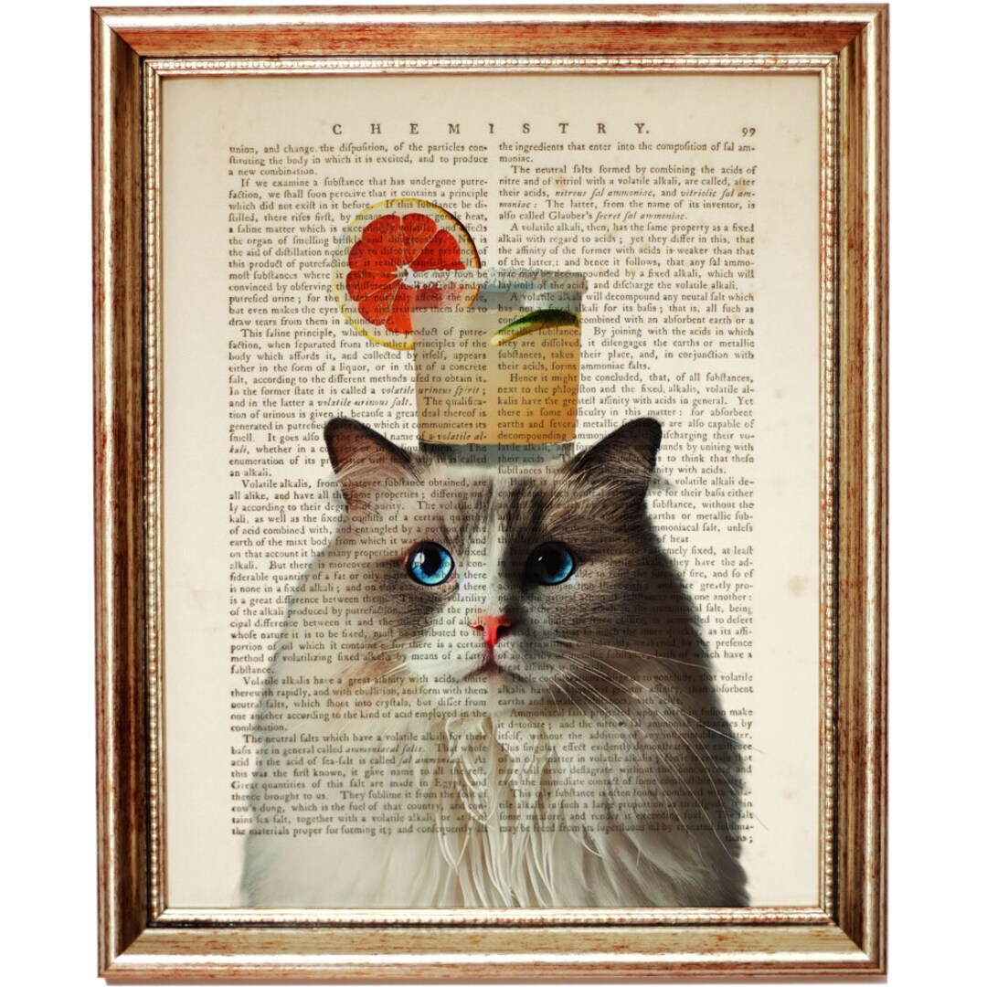 Ragdoll Cat With Paloma Drink Dictionary Art Print, Cute Cat Wall Decor ...