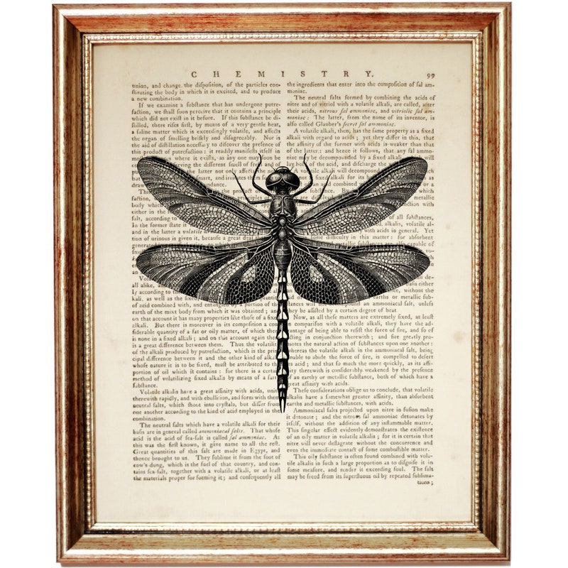 Book Page Art - Etsy