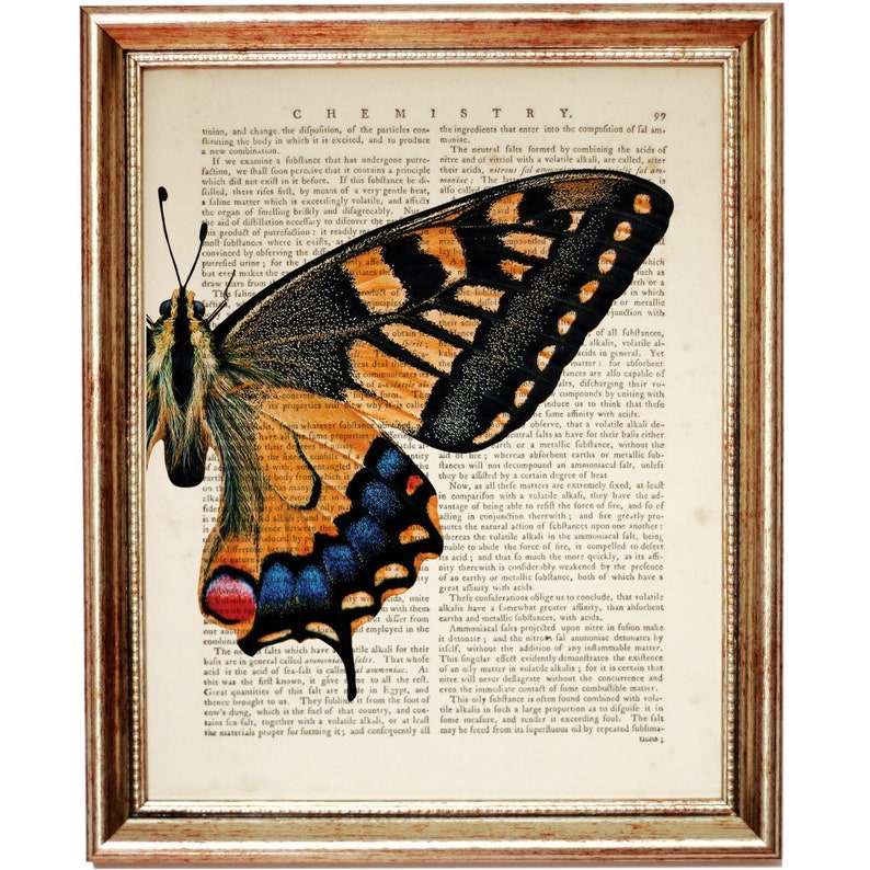 Butterfly Dictionary Art Print, Butterfly Wings Artwork, Butterfly Wall ...
