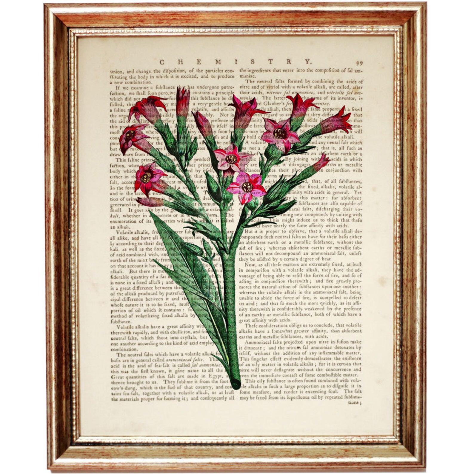 Set of 6 Prints, Botanical Poster, Flower Art Print, Flower Vintage ...