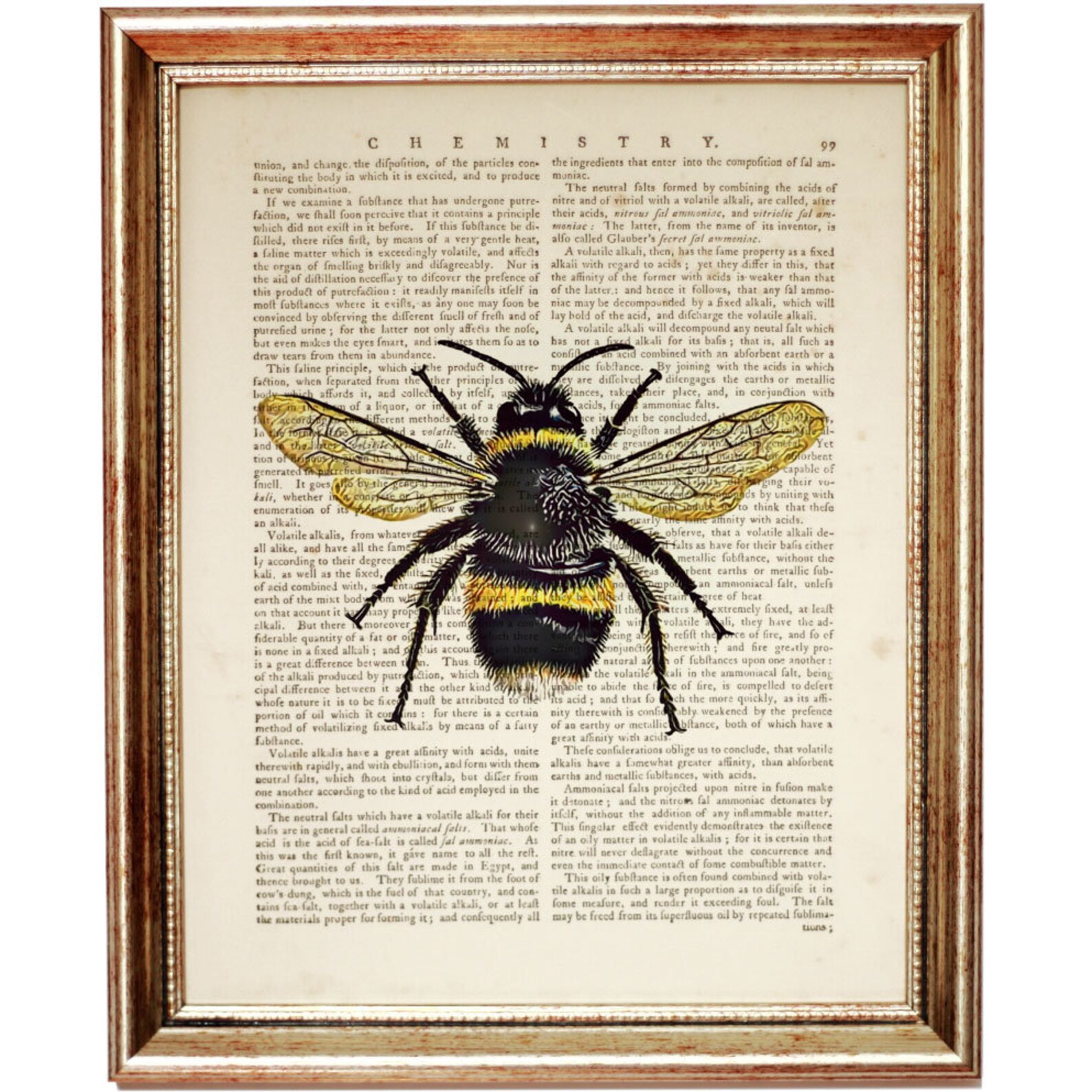 Bee Wall Art Honey Bee Dictionary Art Print Bumble Bee - Etsy