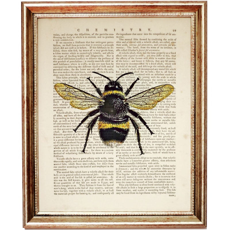 Bumble Bee Nursery - Etsy