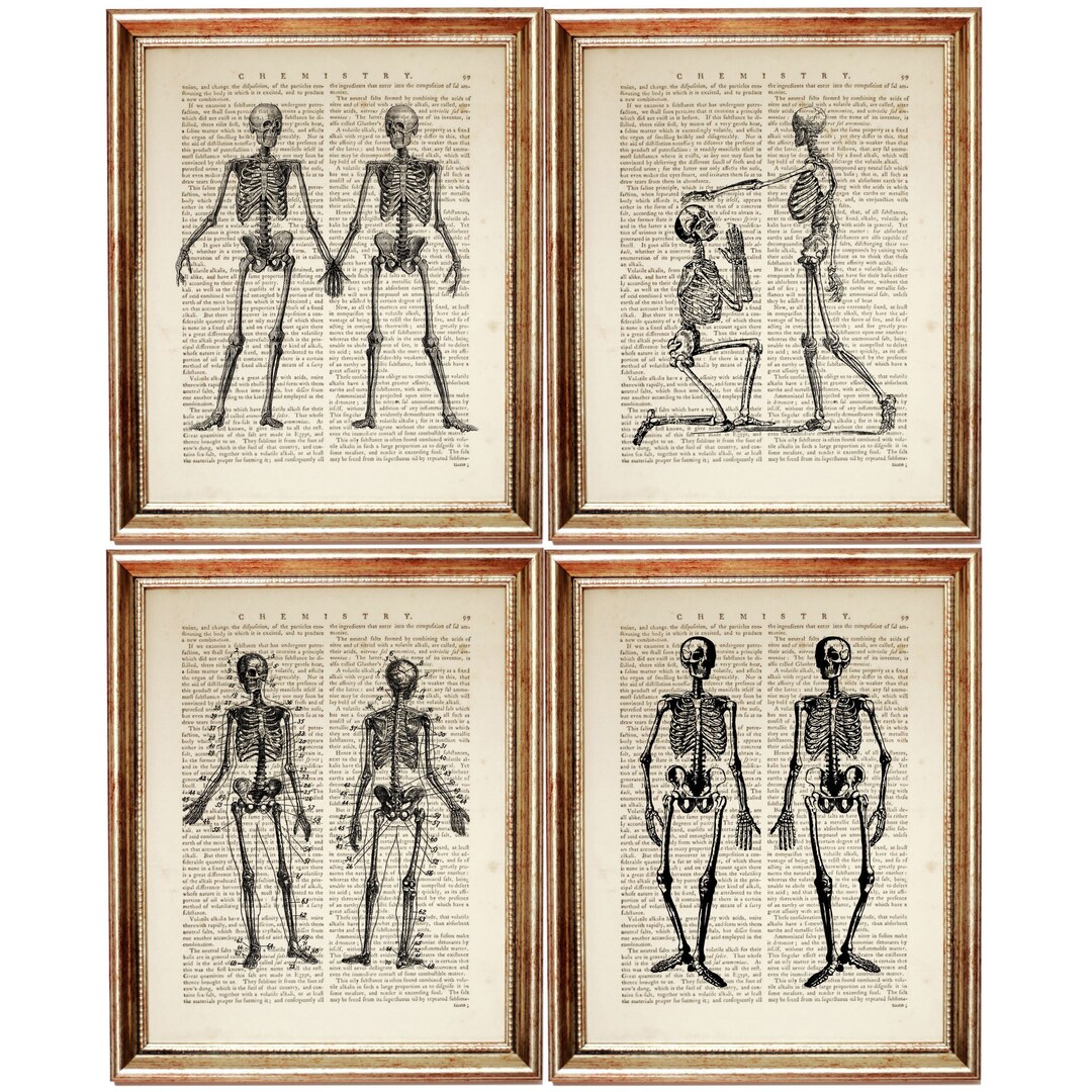 Vintage Skeleton Anatomy Print Set of 4, Anatomical Dictionary Art ...