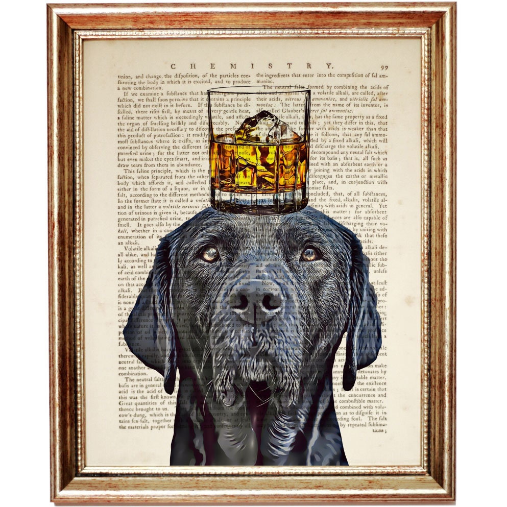 Black Labrador With Bourbon Glass Wall Art, Funny Animal Prints Pet ...