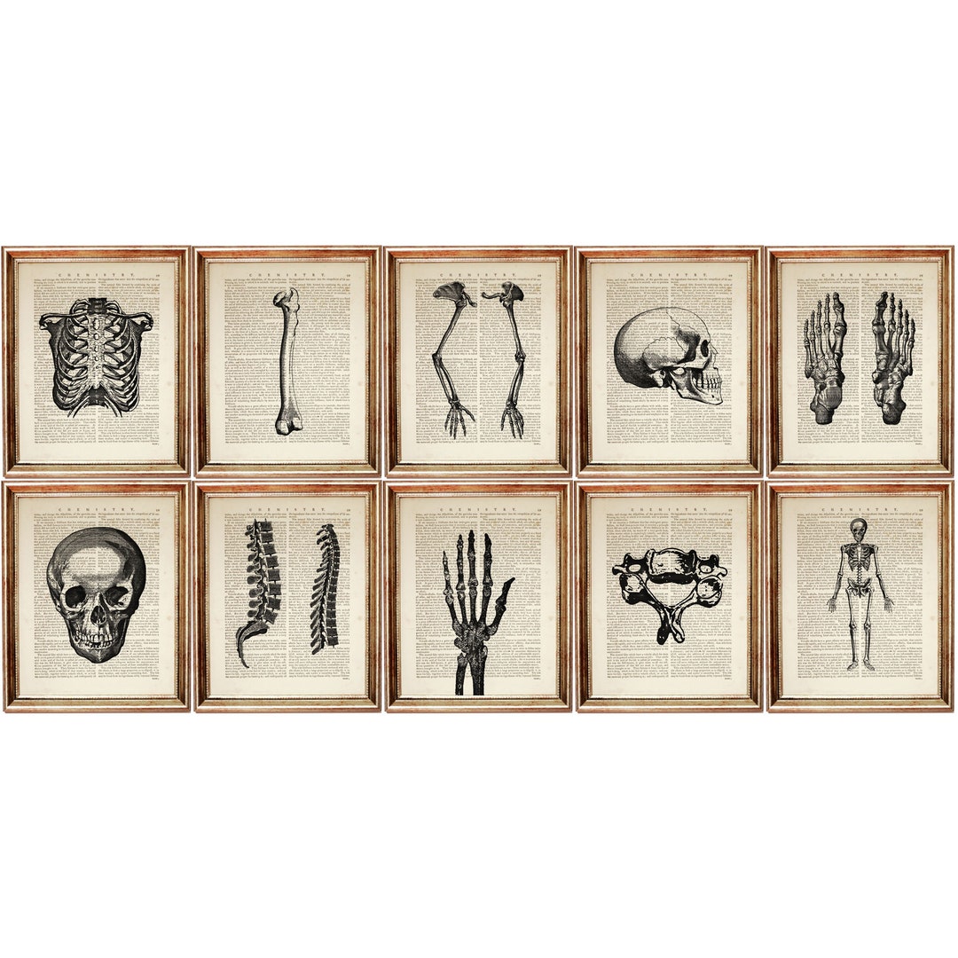 Set of 10 Prints, Anatomical Skeleton Art Prints, Vintage Dictionary ...