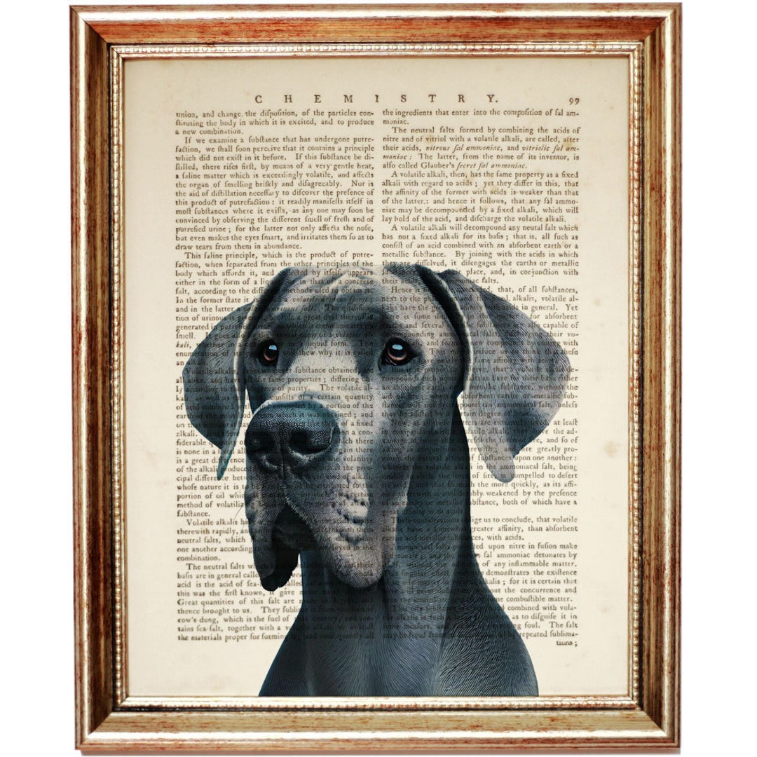 Blue Great Dane Dictionary Art Print, Dog Lovers Gift, Vintage Pet ...