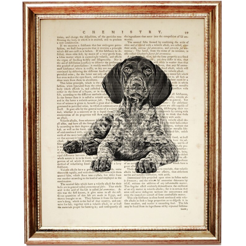 German Shorthaired Pointer Art Set, Set of 6 Dog Dictionary Art Prints ...