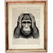 Three Wise Monkeys Dictionary Art Print Set, See No Evil, Hear No Evil ...