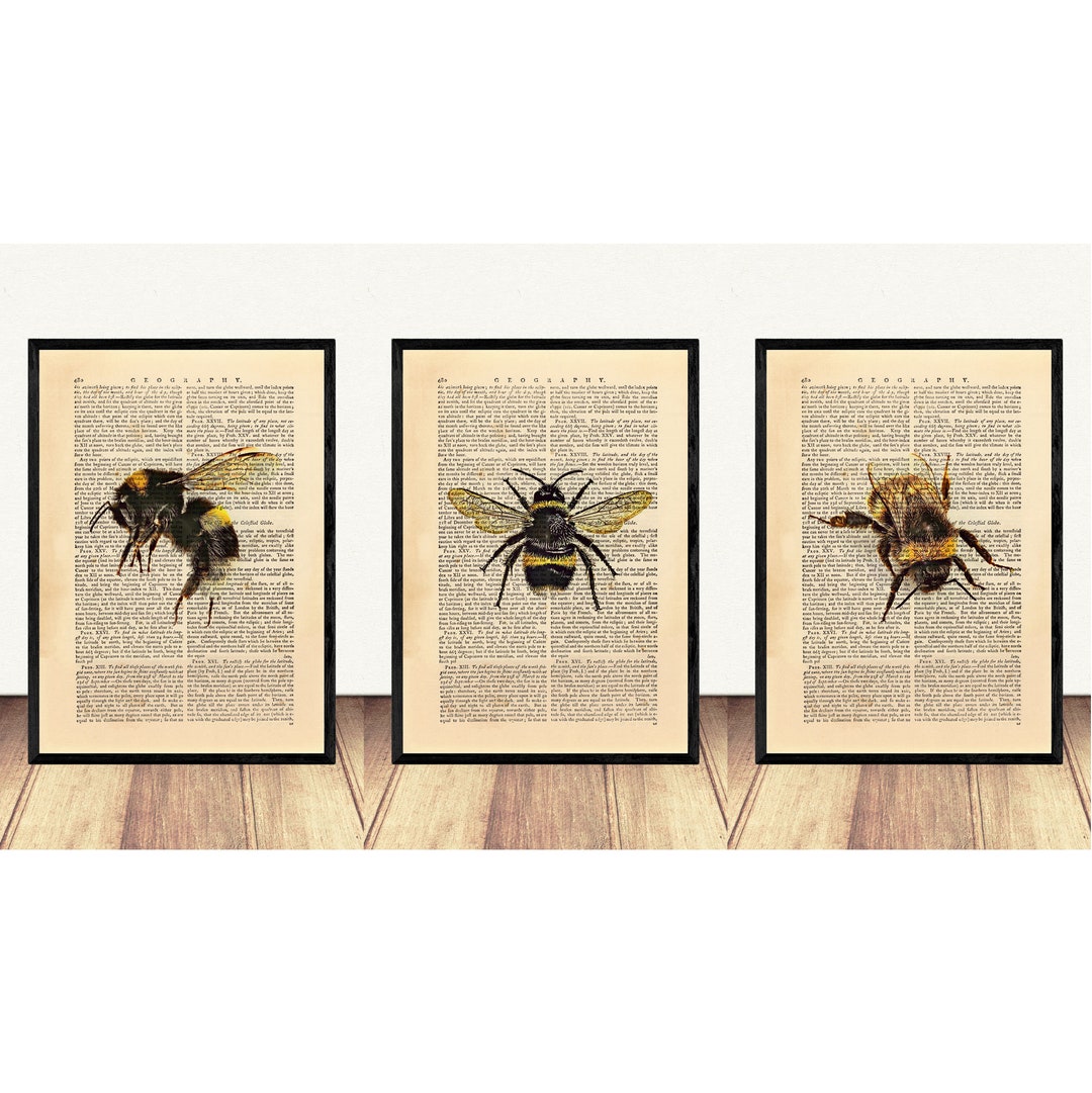 Set of 3 Prints, Bumble Bee Wall Art, Bee Poster, Bee Wall Decor, Bee ...