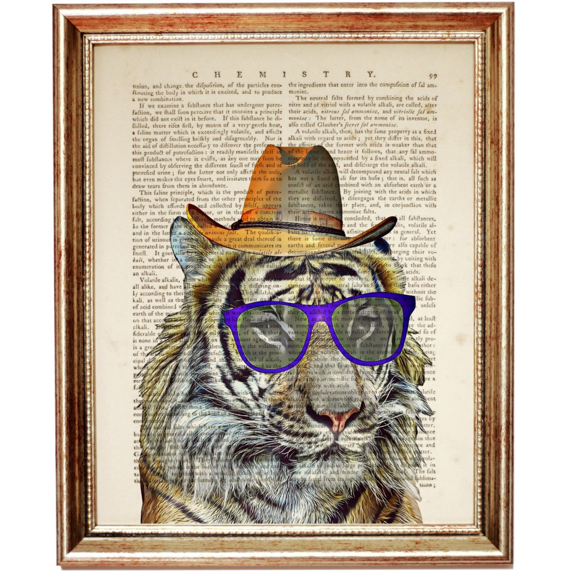 Tiger With Hat and Sunglasses Dictionary Art Print - Etsy