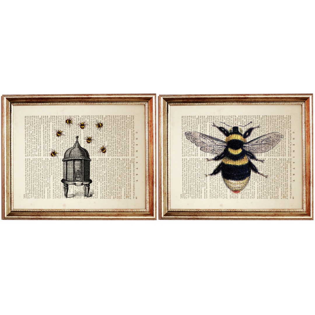 Set of 2 Prints, Bee Dictionary Art Prints, Vintage Beehive Poster ...