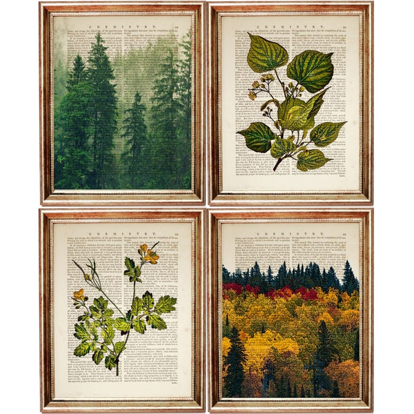 5x7 Art Print - Etsy