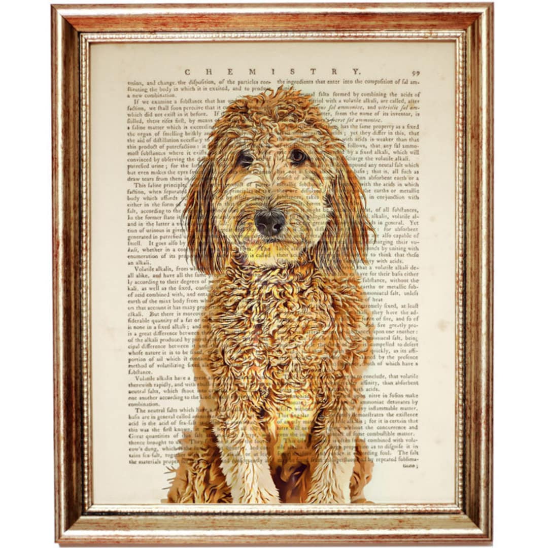 Goldendoodle Dog Wall Art, Dog Print, Recycled Dictionary Art Print ...
