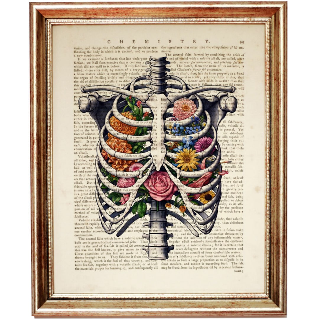 Ribcage With Flowers Art Print, Anatomical Vintage Dictionary Page 8x10 ...