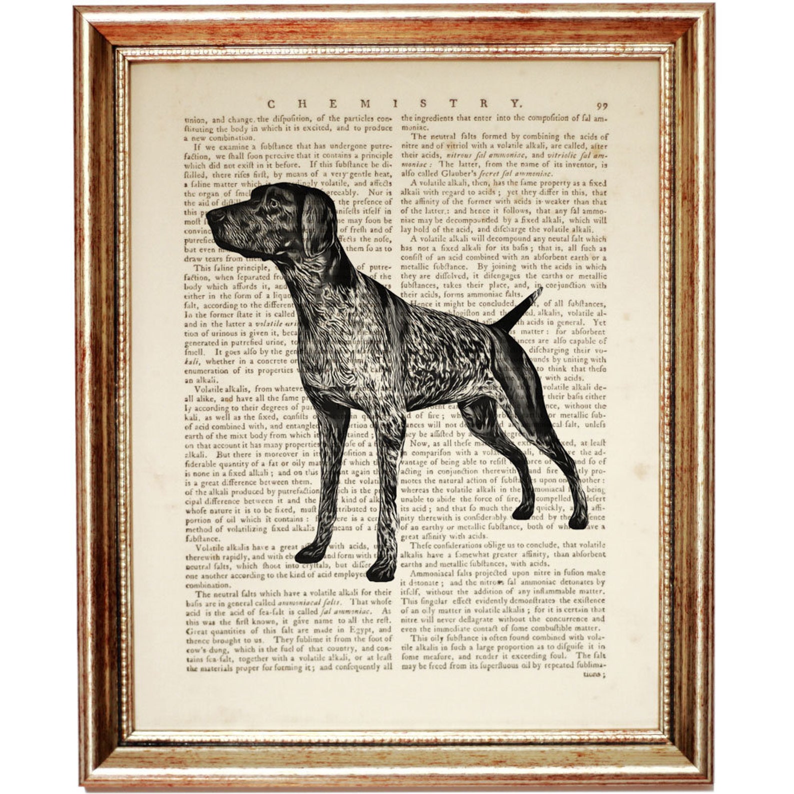 German Shorthaired Pointer Art Set, Set of 6 Dog Dictionary Art Prints ...