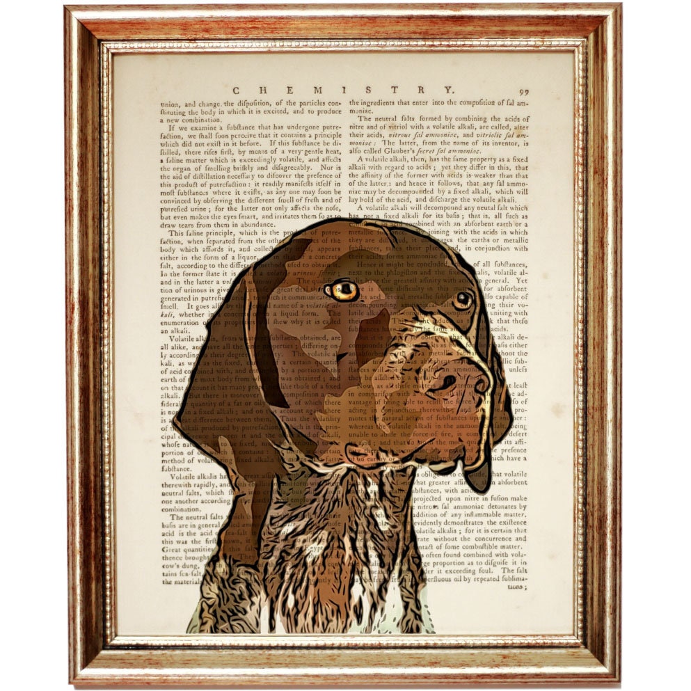 Set of 6 Prints German Shorthaired Pointer Dictionary Art - Etsy