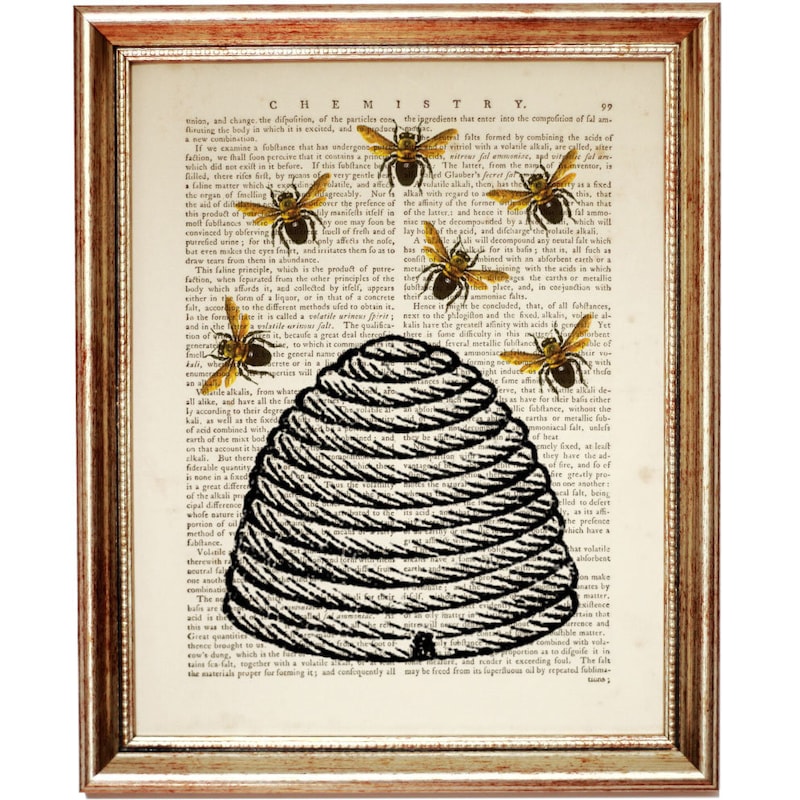 Beehive Decor - Etsy