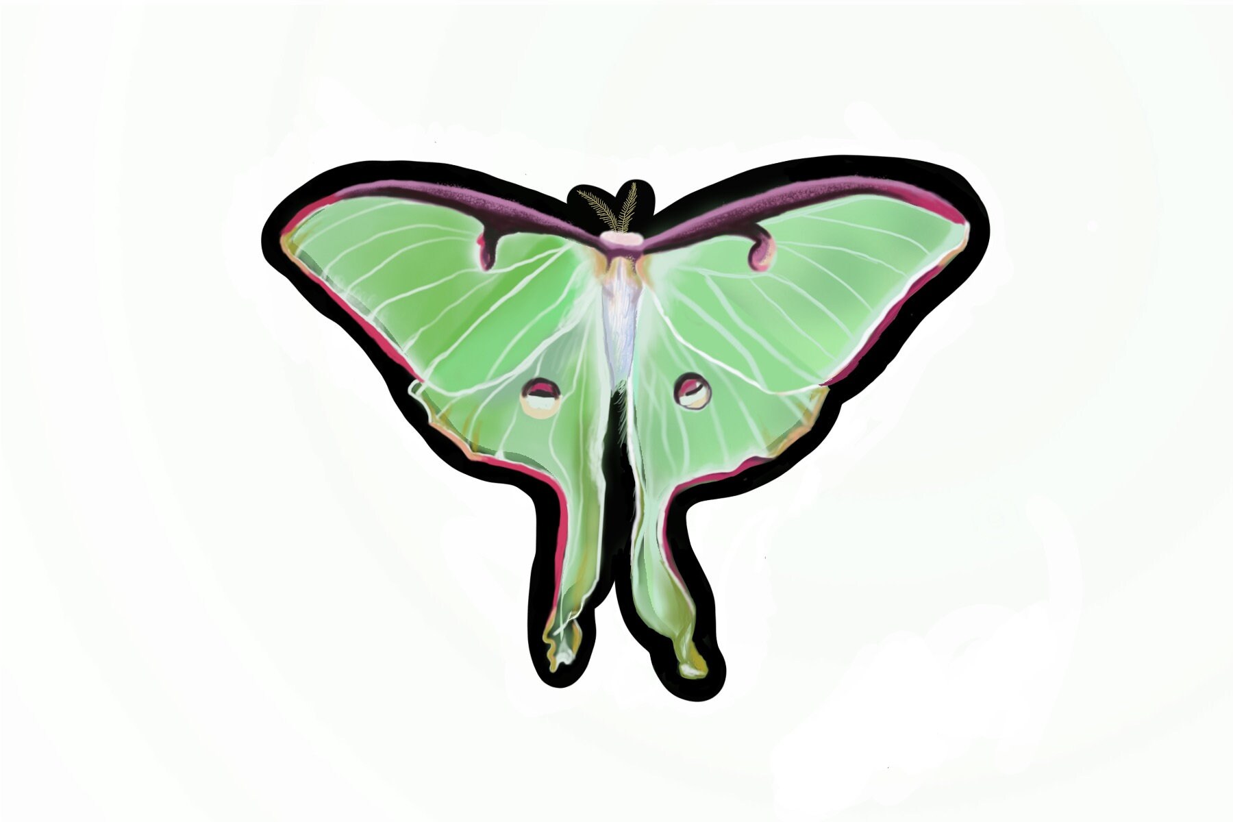 Luna Moth Vinyl Sticker 1x2 Inches | Etsy