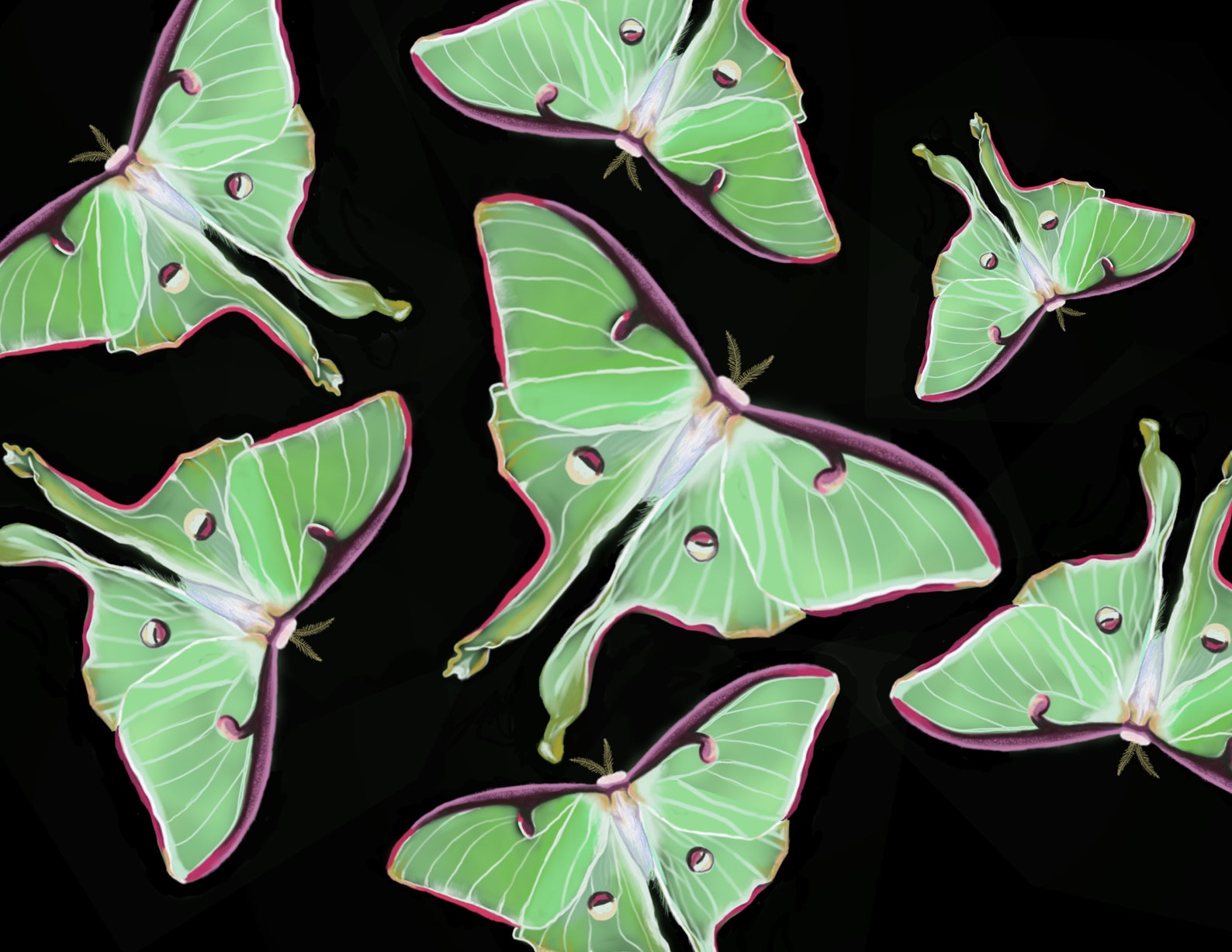 Luna Moth Vinyl Sticker 1x2 inches | Etsy