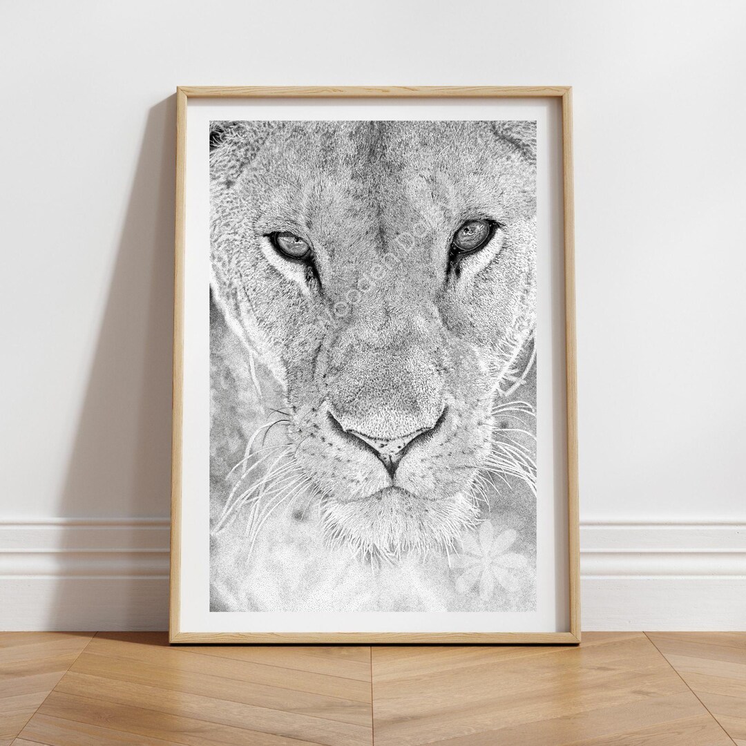 A4 Lioness Art Print, Lioness Picture, Lioness Print, Lioness Wall Art ...