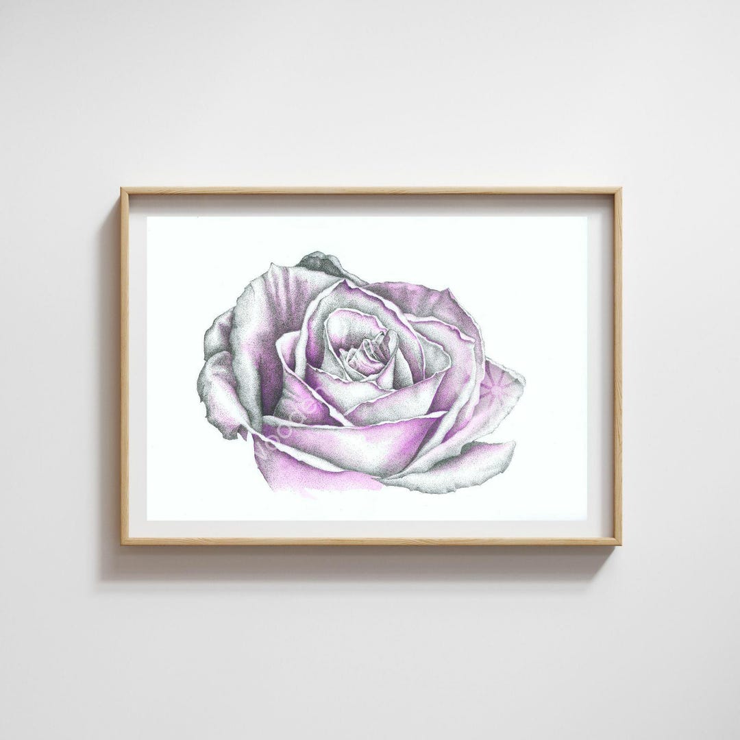 A3 Purple Rose Art Print, Rose Picture, Rose Print, Rose Wall Art ...