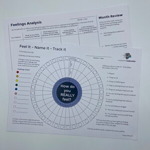 Wheel of Feels - Feelings Tracker - Learn to Track and Analyse Your ...