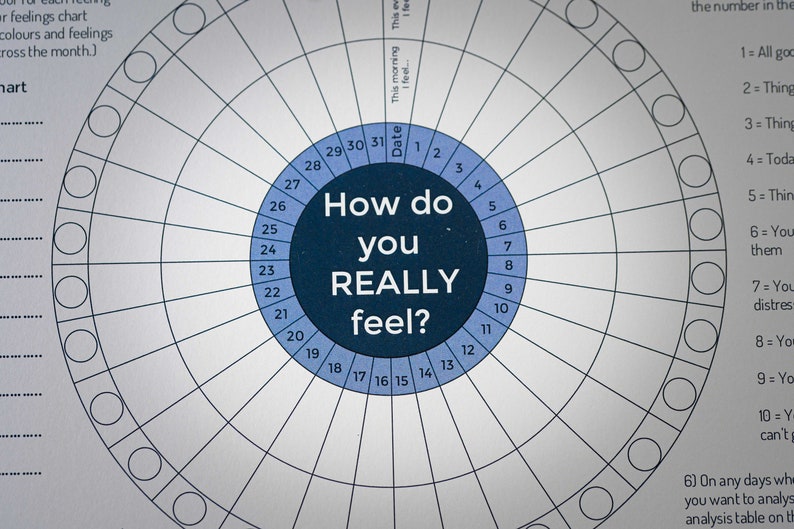 Wheel of Feels Feelings Tracker Learn to Track and Analyse - Etsy