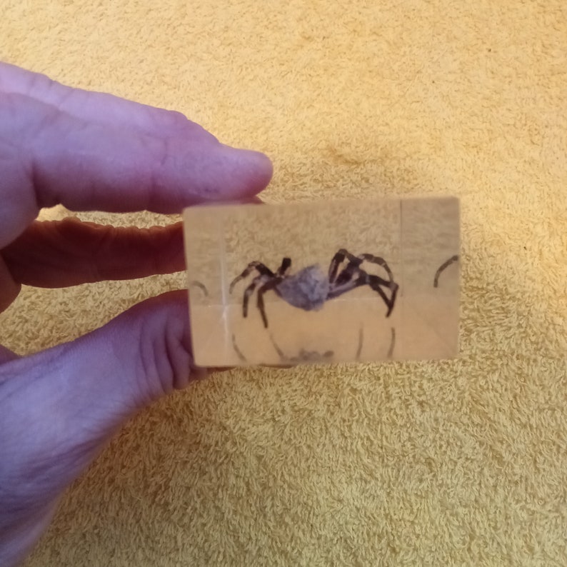 Vintage Soviet Epoxy Resin Spider. Spider in Resin Spider Acrylic Block ...