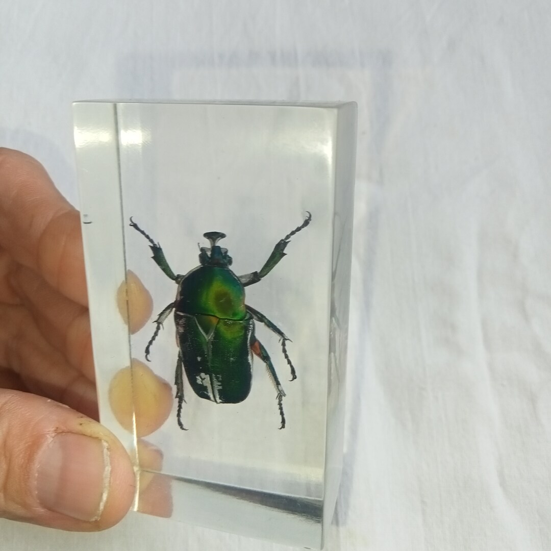 Soviet Beetle in Resin,beetle Acrylic Block,bronze Beetle,insect ...