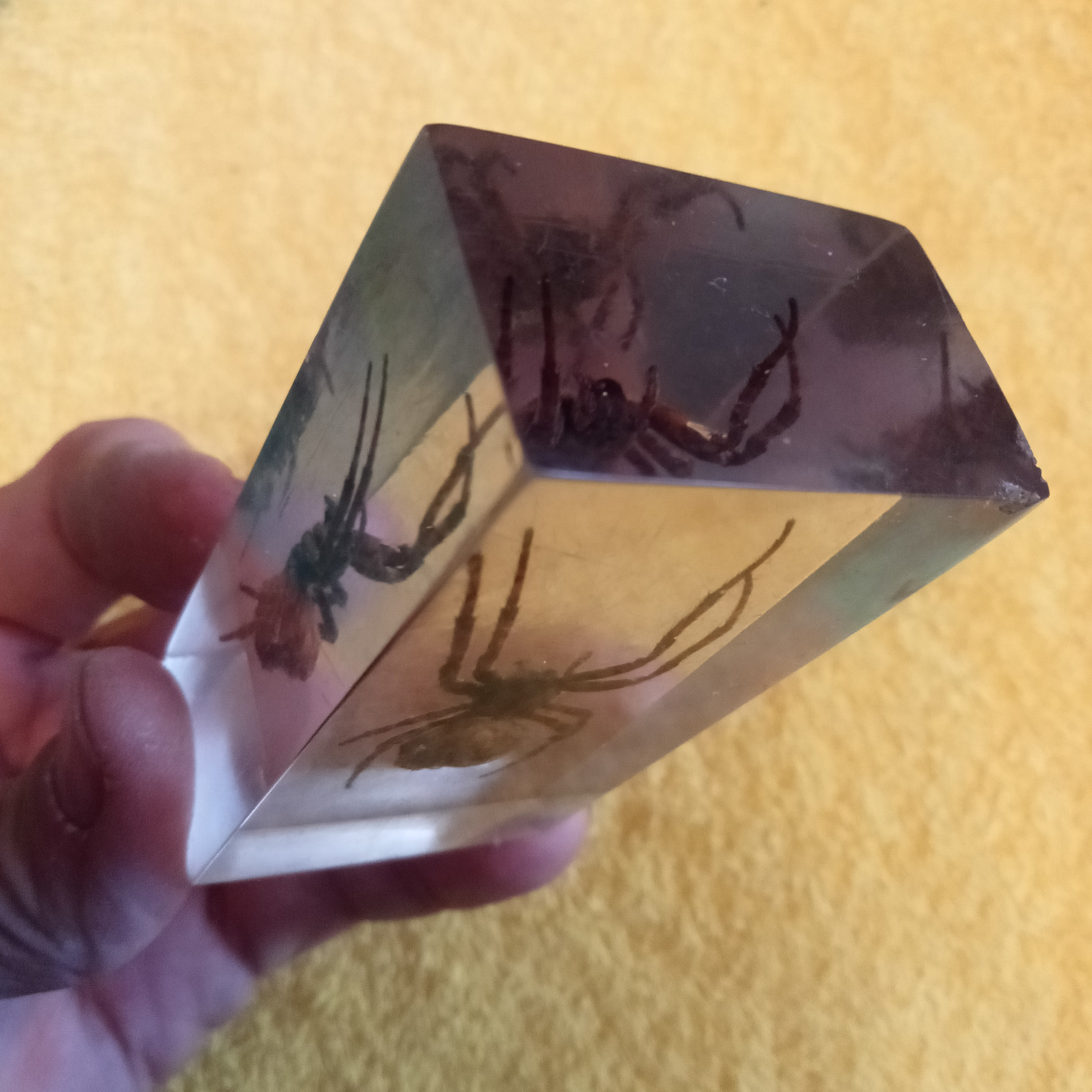 Antique Soviet Spider in Epoxy Resin. Spider in Resin Spider Acrylic ...