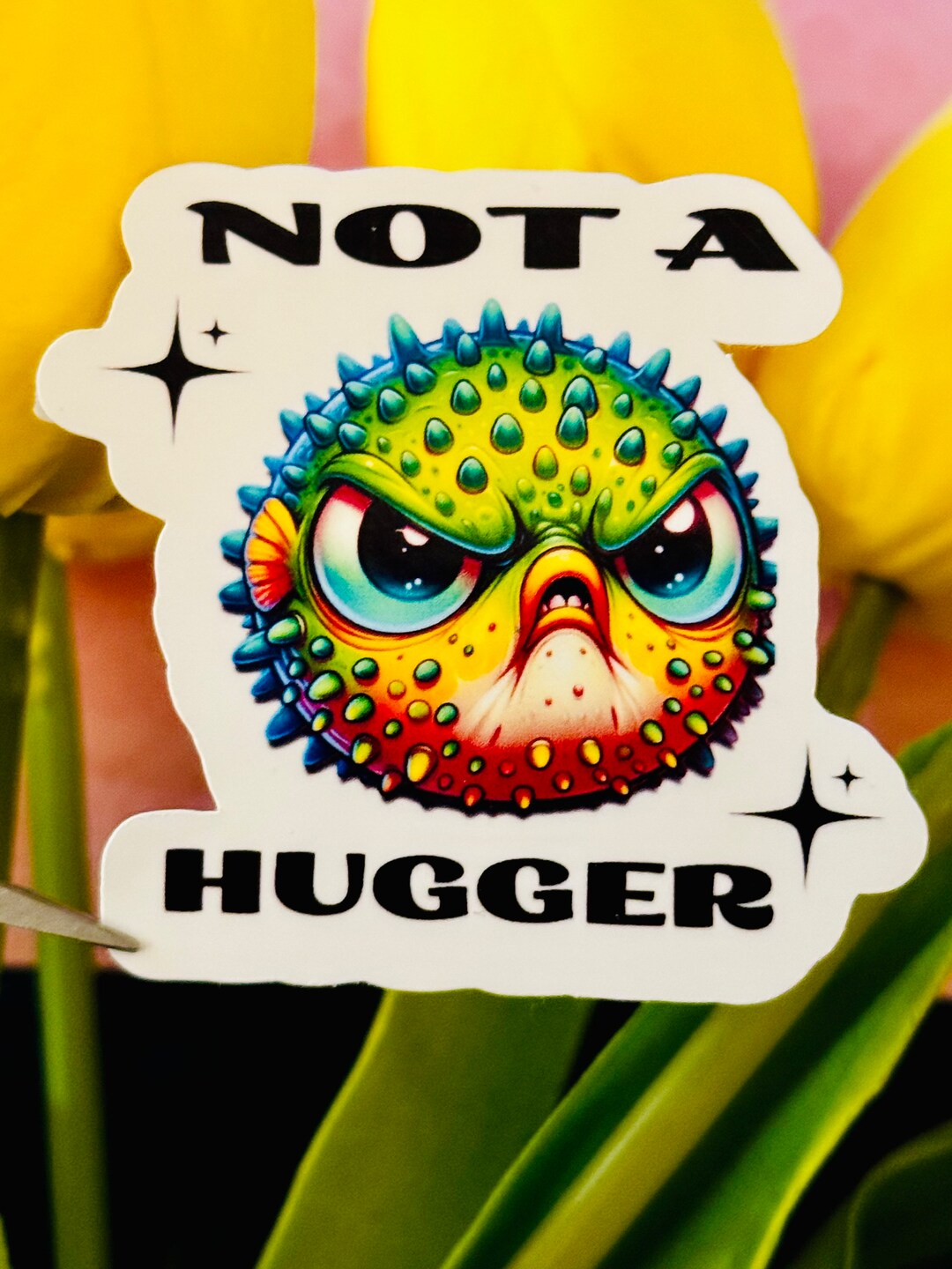 Not a Hugger Vinyl Sticker Funny Laptop Decal, Waterproof Phone Sticker ...