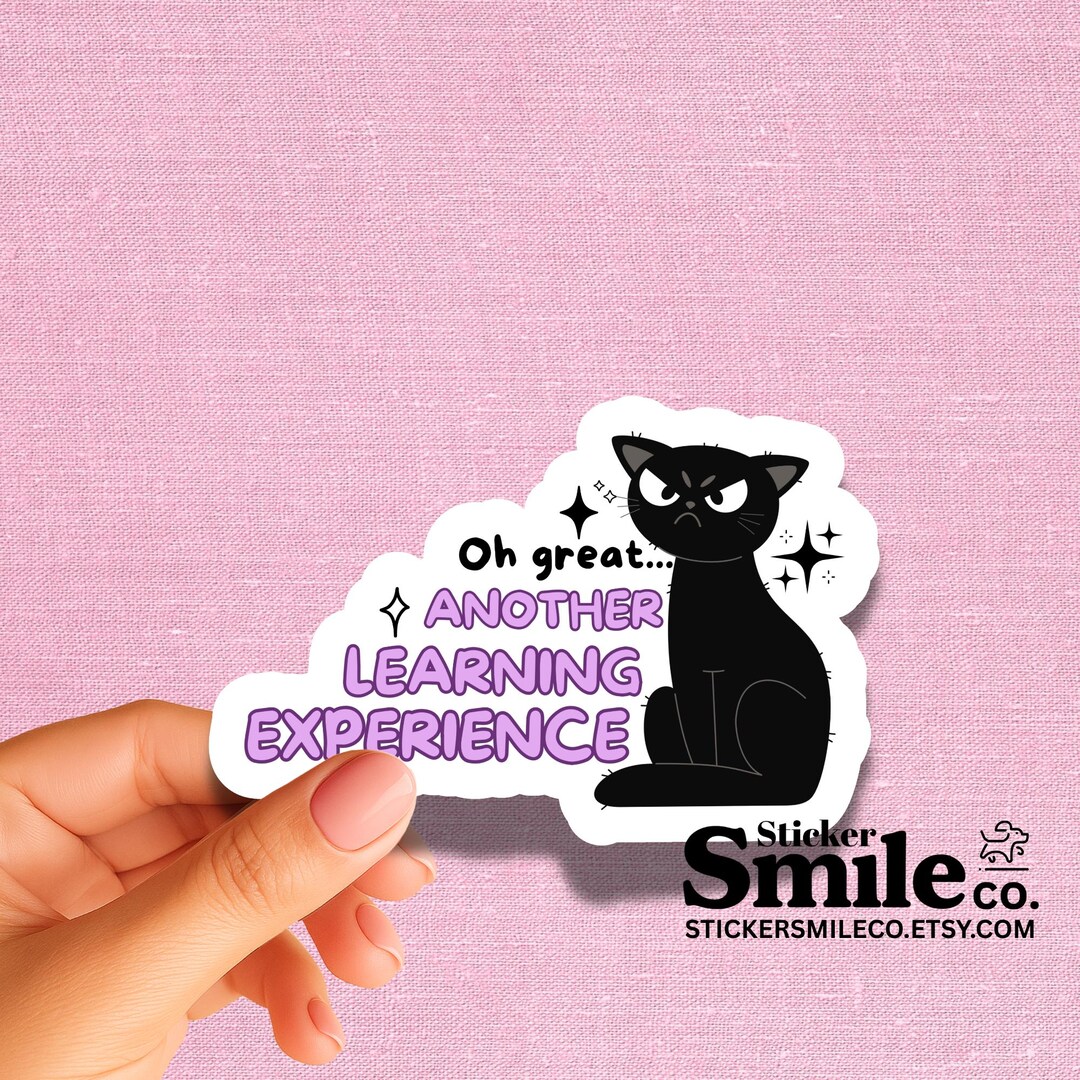 Black Cat Sticker – Another Learning Experience – Sarcastic Funny Vinyl ...