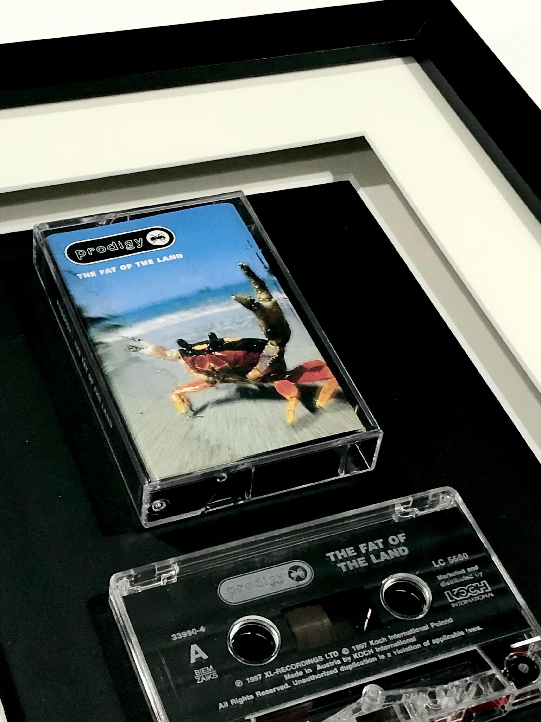 The Prodigy 'the Fat of the Land' Framed Tape - Etsy