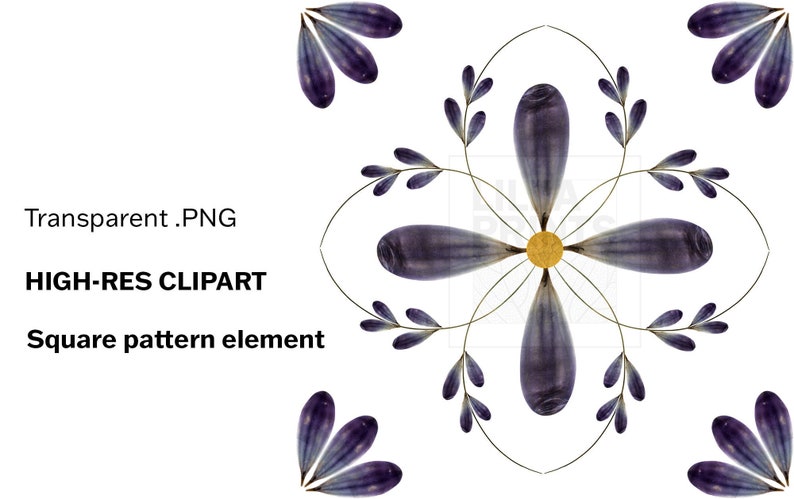 Digital Clipart High Resolution PNG File Printable Pressed - Etsy Australia