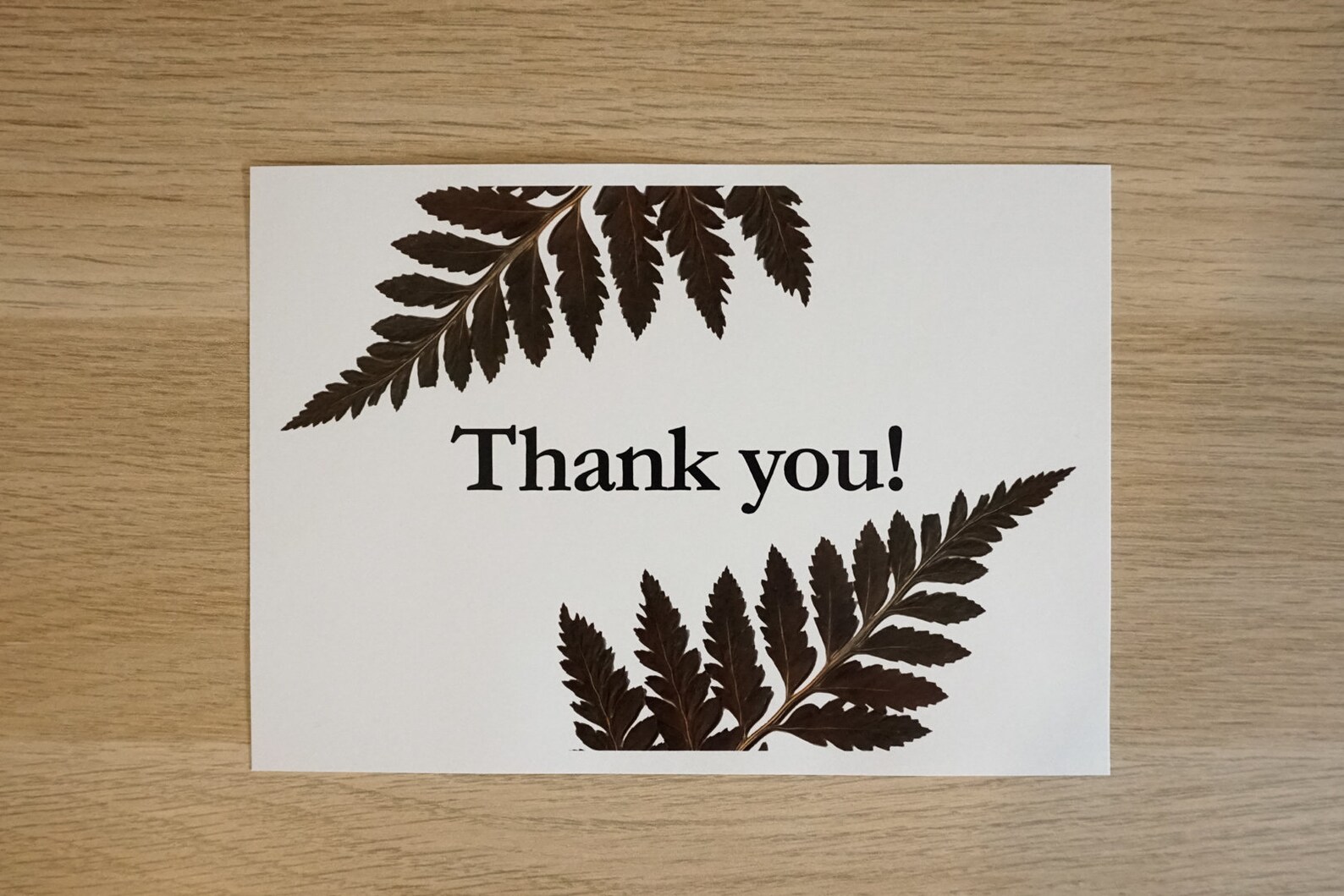 PNG Clipart Fern Frame Digital Frame Printable Pressed Fern Web Design ...